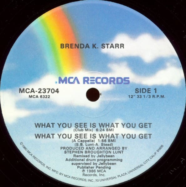 Buy What You See Is What You Get (12" Single) | Brenda K. Starr | 5DollarRecords.com
