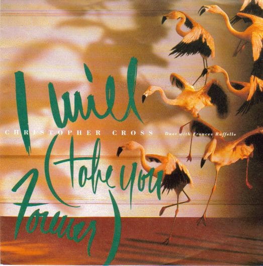 I Will (Take You Forever) (45) – 5DollarRecords.com